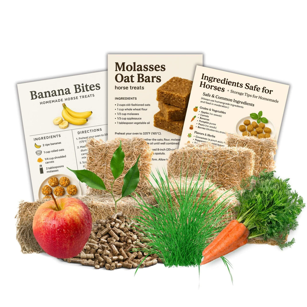 The Equine Nutrition & Treats Bundle – The Digital Stable