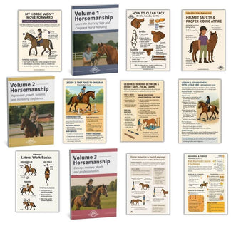 Best Horse Riding Lesson Plans for Instructors | Keep Students Engaged ...